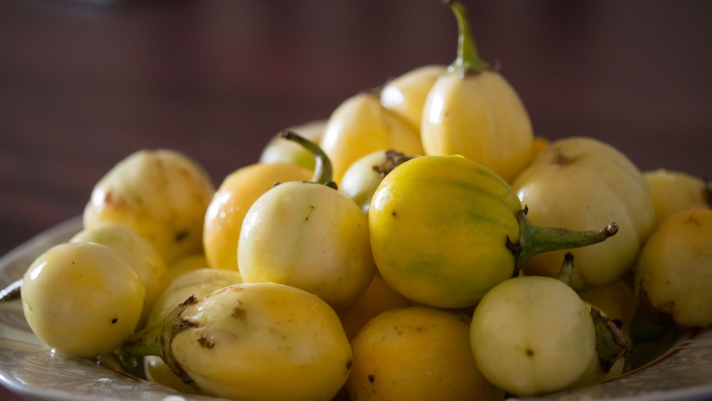 “Je bois la Régab” – La culture gabonaise – C'est beau ça